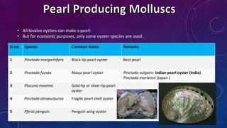 Pearl Culture by Kajal Maurya M.Sc. I Year.pptx