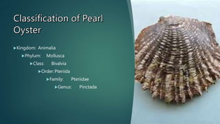 Pearl Culture by Kajal Maurya M.Sc. I Year.pptx