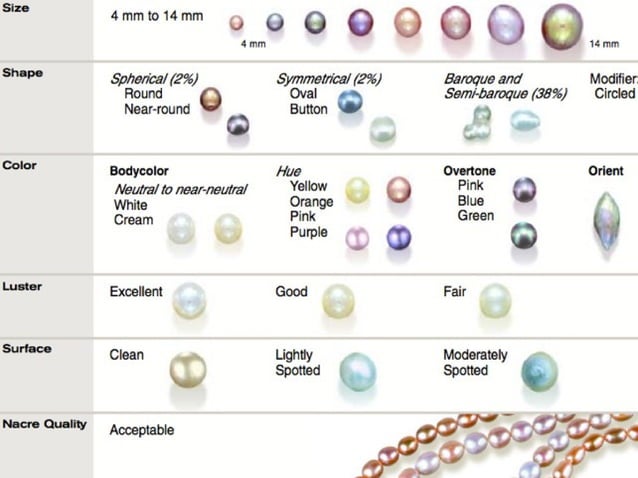 Pearl formation in mollusca for BSc I students | PPT