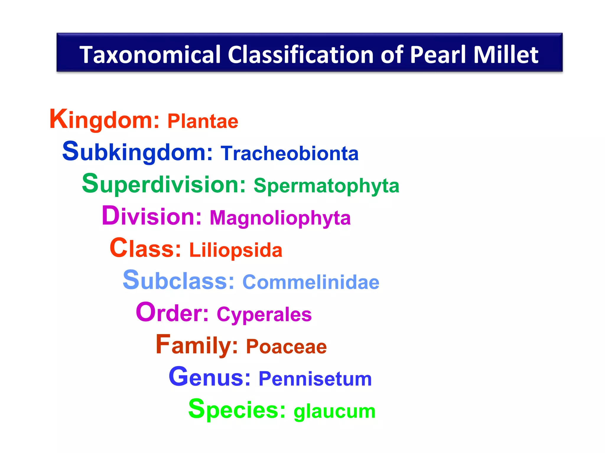 Pearl millet Origin, Domestication, Wild relatives, Gene Pool and ...