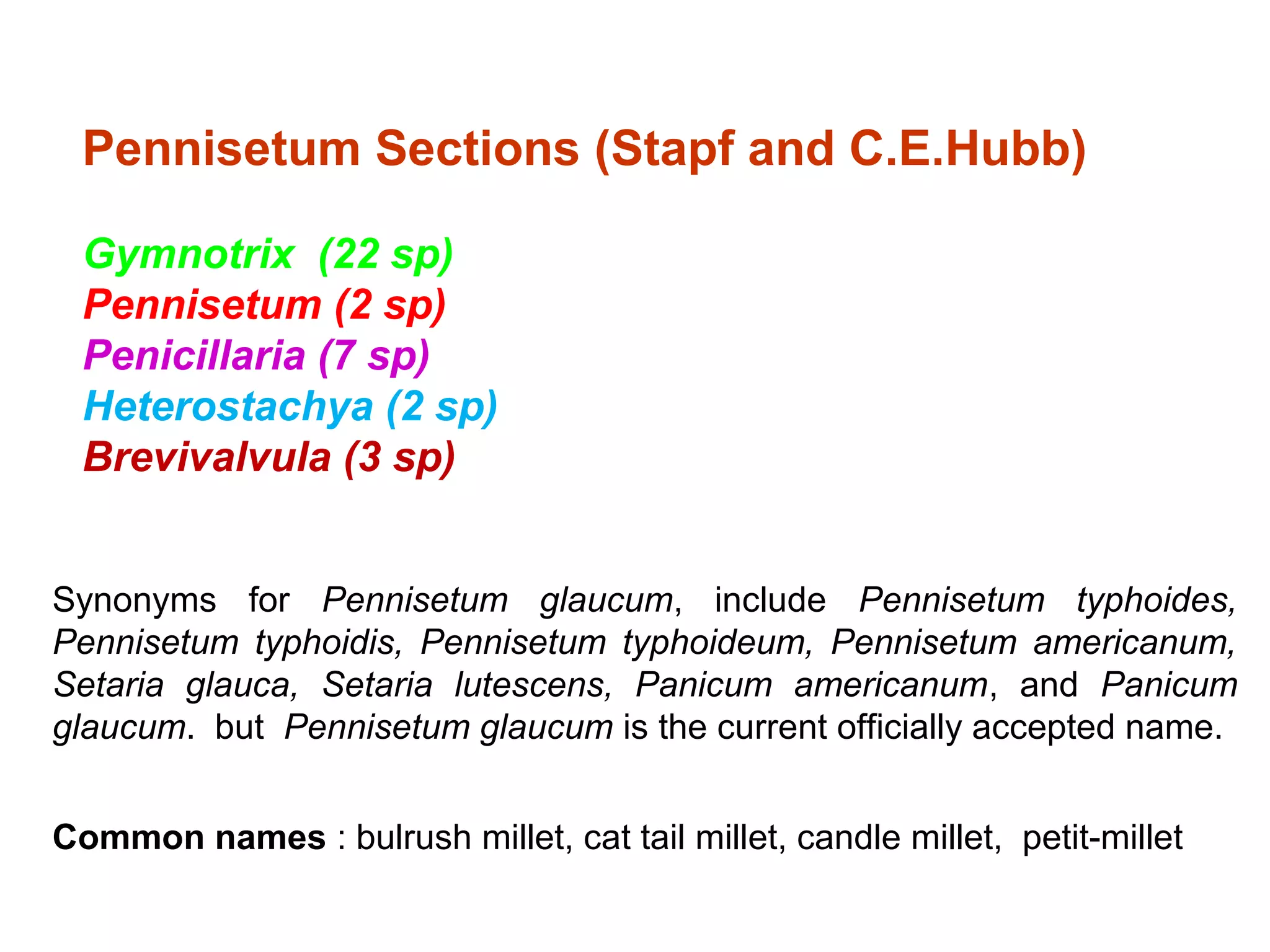 Pearl millet Origin, Domestication, Wild relatives, Gene Pool and ...
