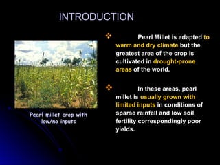 pearlmilleT CROP FOR HIGHER PRODUCTIVITY.ppt