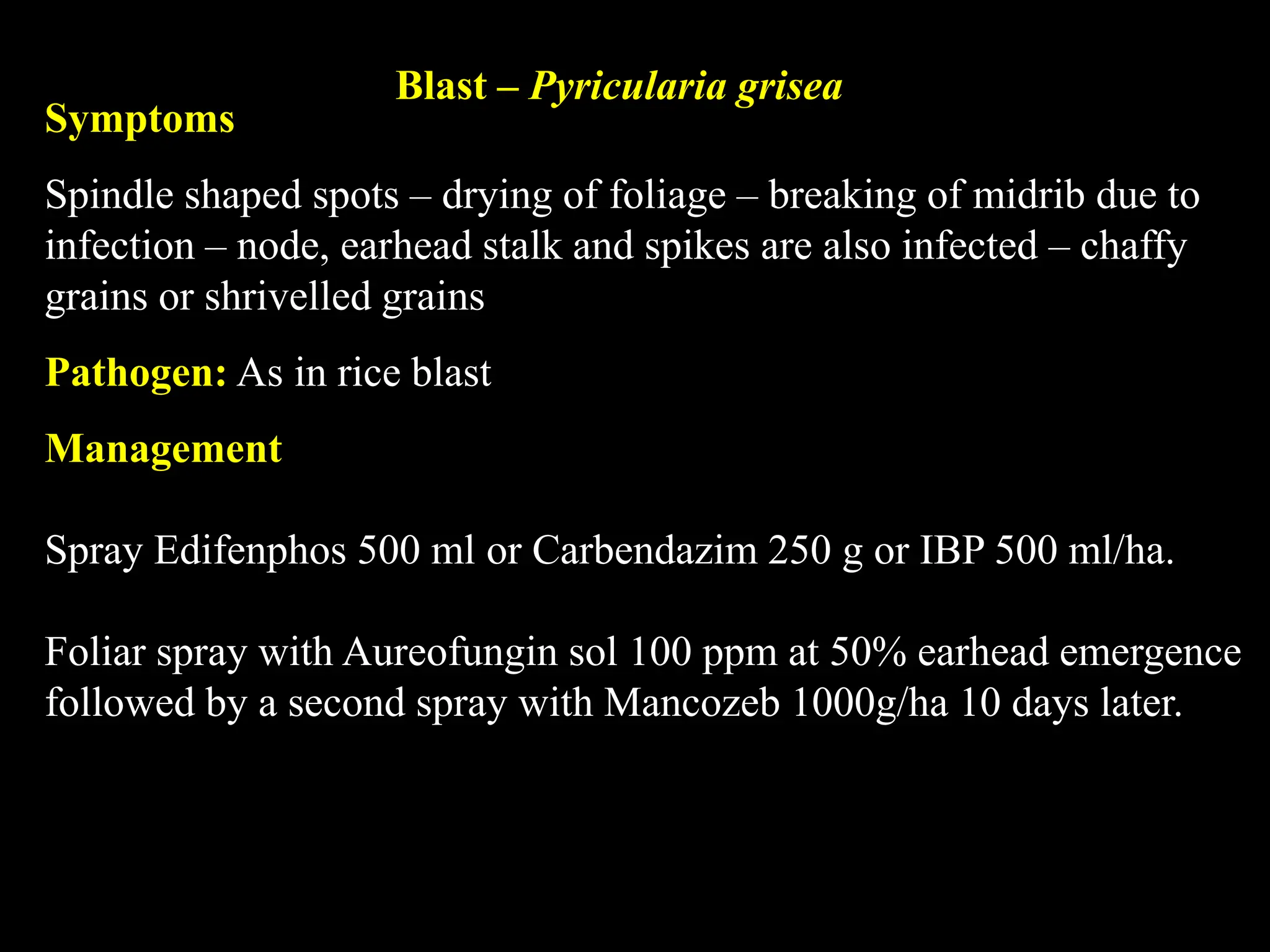 Pearlmillet -blast and finger millet.ppt