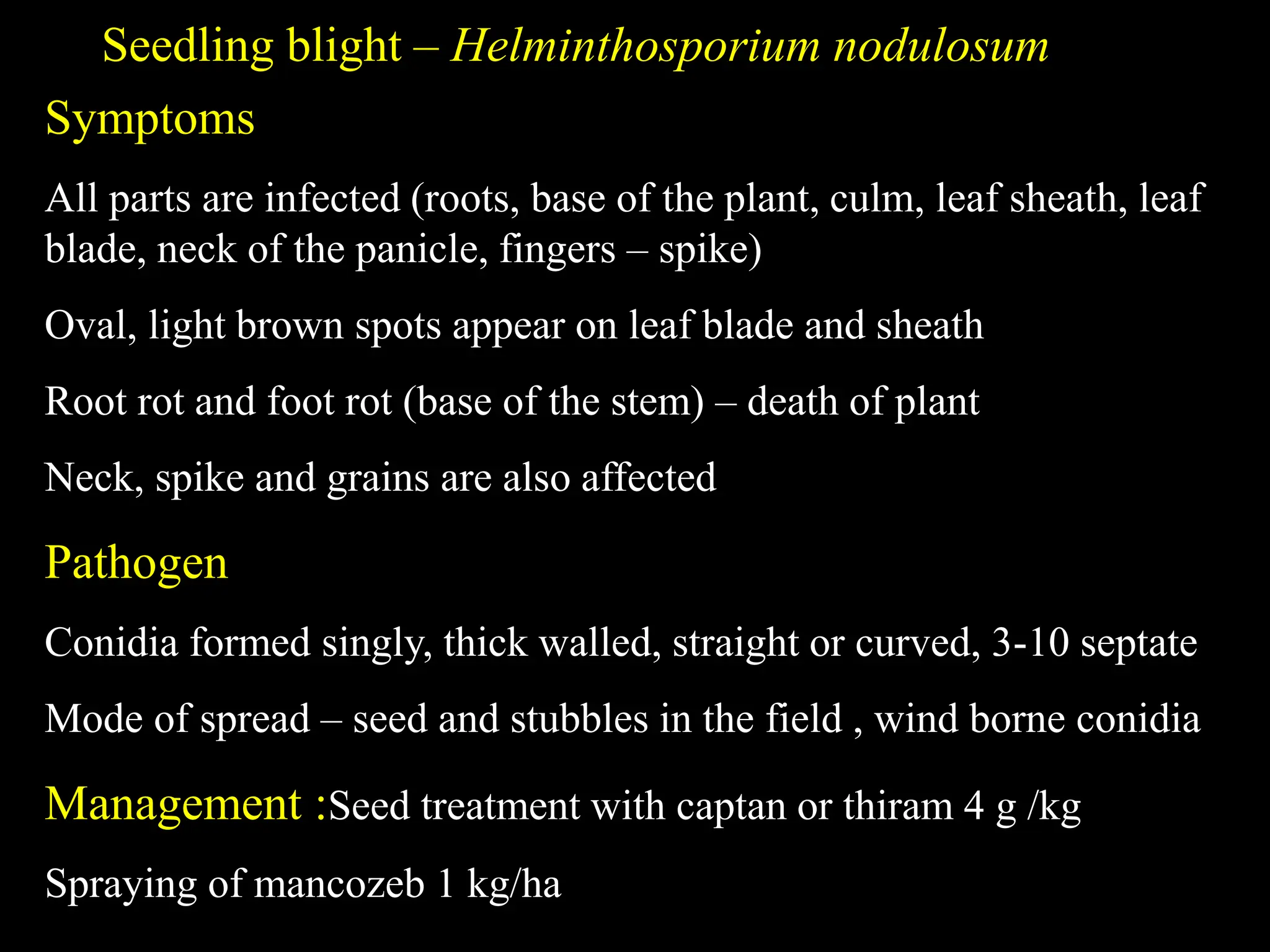Pearlmillet -blast and finger millet.ppt