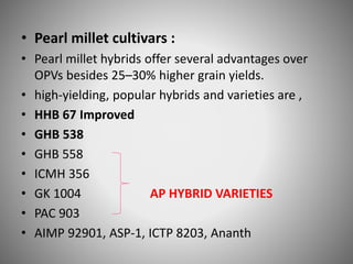 Pearl millet | PPTX