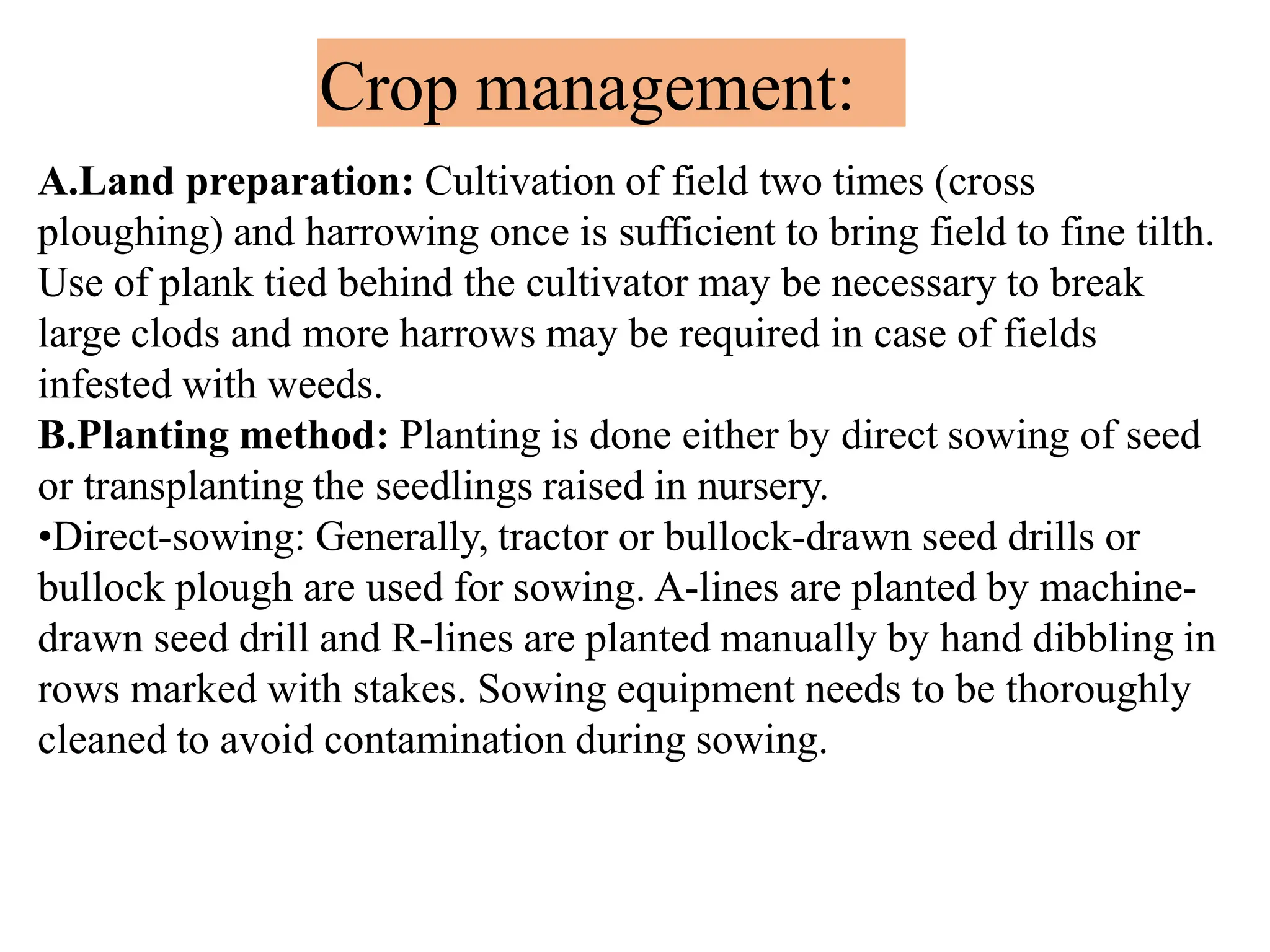 pearl millet presentation 1.pptx