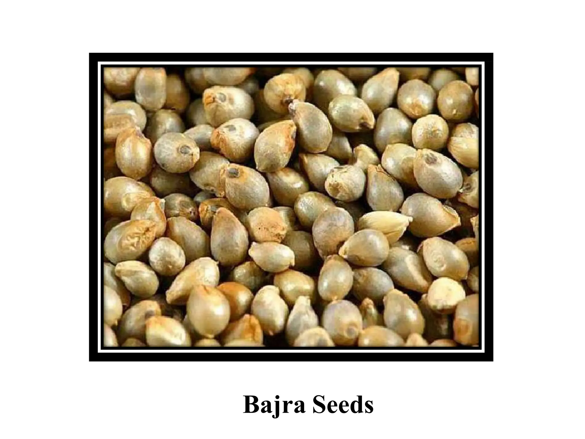 pearl millet presentation 1.pptx