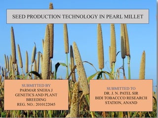 pearl millet presentation 1.pptx | Gardening | Home & Garden