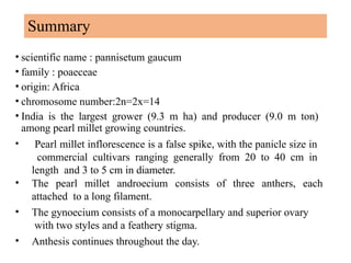 Seed production technology in pearl millet presentation .pptx