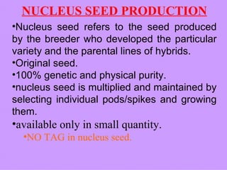 Pearlmillet heterosis and hybrid seed production | PPT