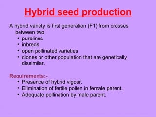 Pearlmillet heterosis and hybrid seed production | PPT
