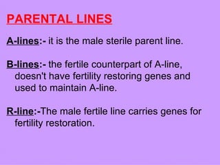 Pearlmillet heterosis and hybrid seed production | PPT