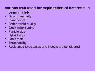 Pearlmillet heterosis and hybrid seed production | PPT