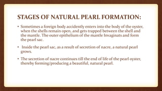Pearl & Pearl culture . | PPT