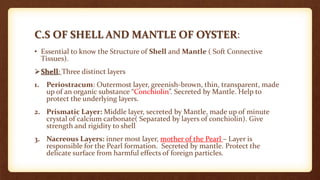 Pearl & Pearl culture . | PPT