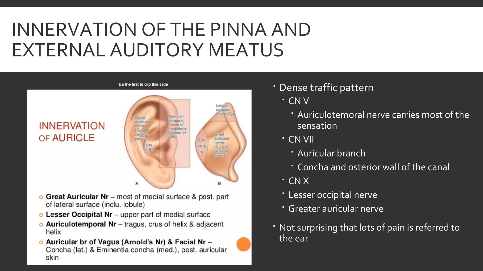 Pearls for assessing sensation of the face and head | PPT