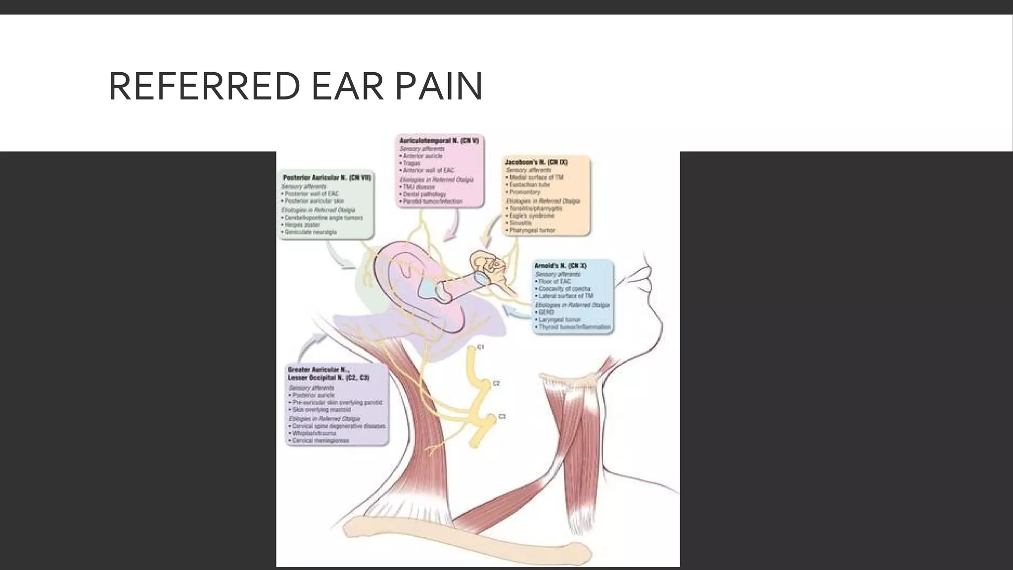 Pearls for assessing sensation of the face and head | PPT