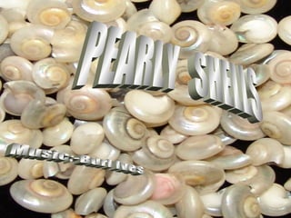 Pearly Shells | PPS