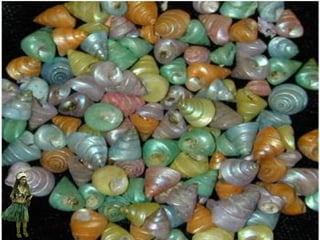 Pearly Shells | PPT