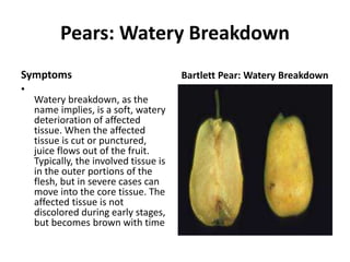 Pear physiological disorders A Lecture By Allah Dad Khan To FFS Trainee ...