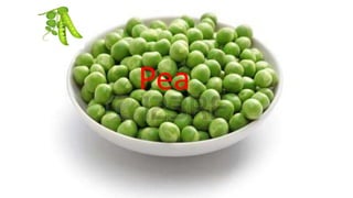 PEAS production technology and seed production | PPTX