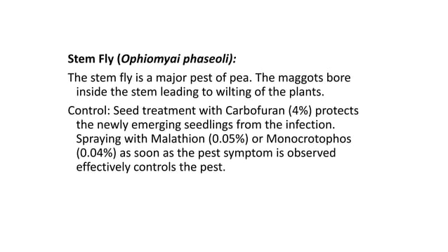 PEAS production technology and seed production | PPTX