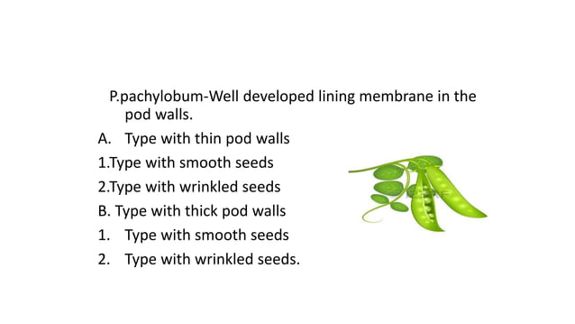 PEAS production technology and seed production | PPTX