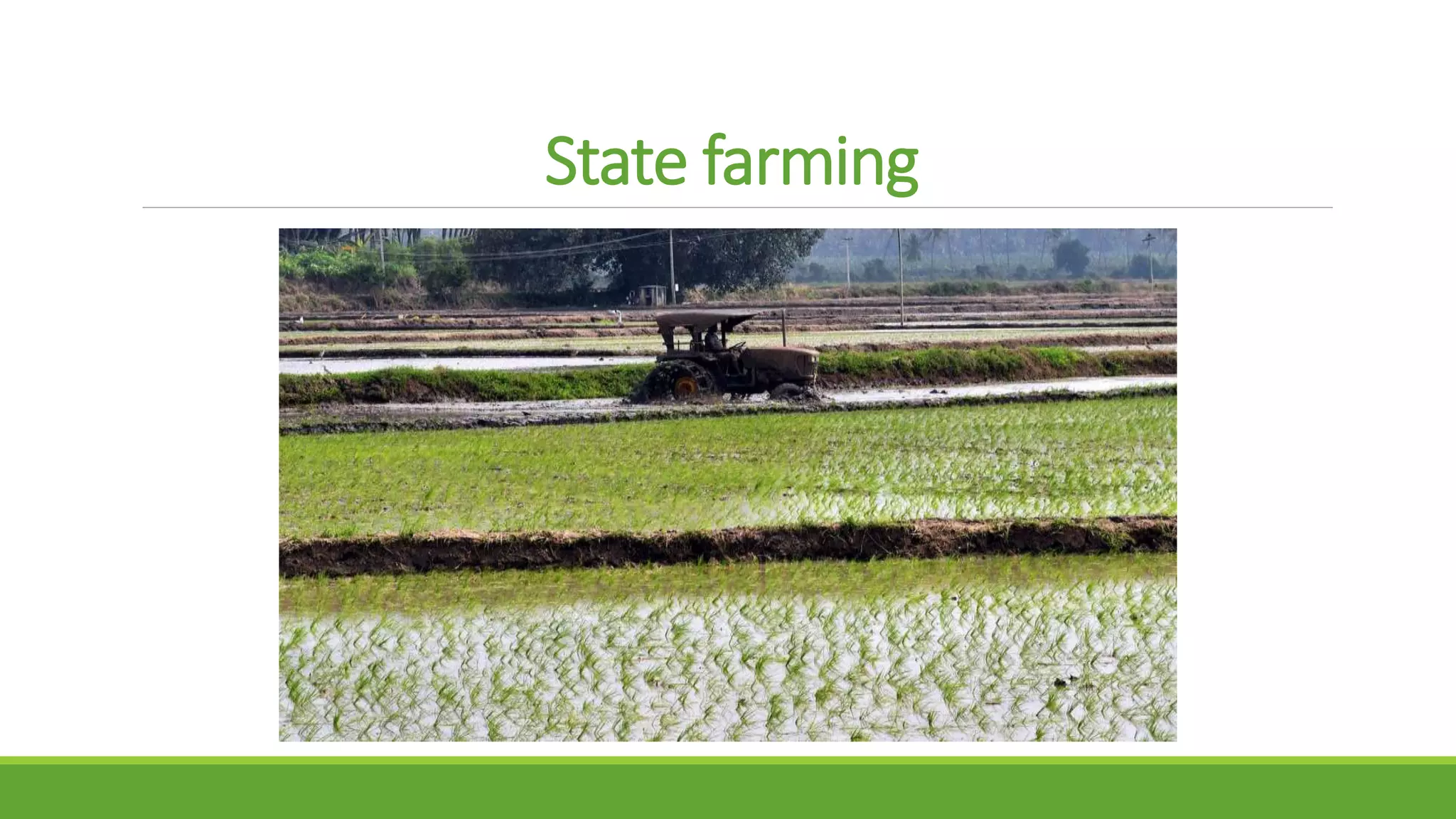 PEASANT FARMING, STATE FARMING, CAPITALISTIC FARMING.pptx
