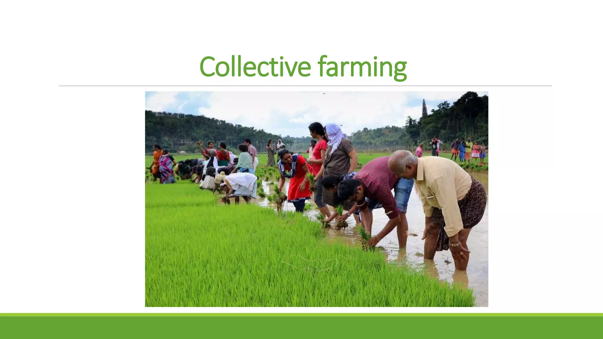 PEASANT FARMING, STATE FARMING, CAPITALISTIC FARMING.pptx