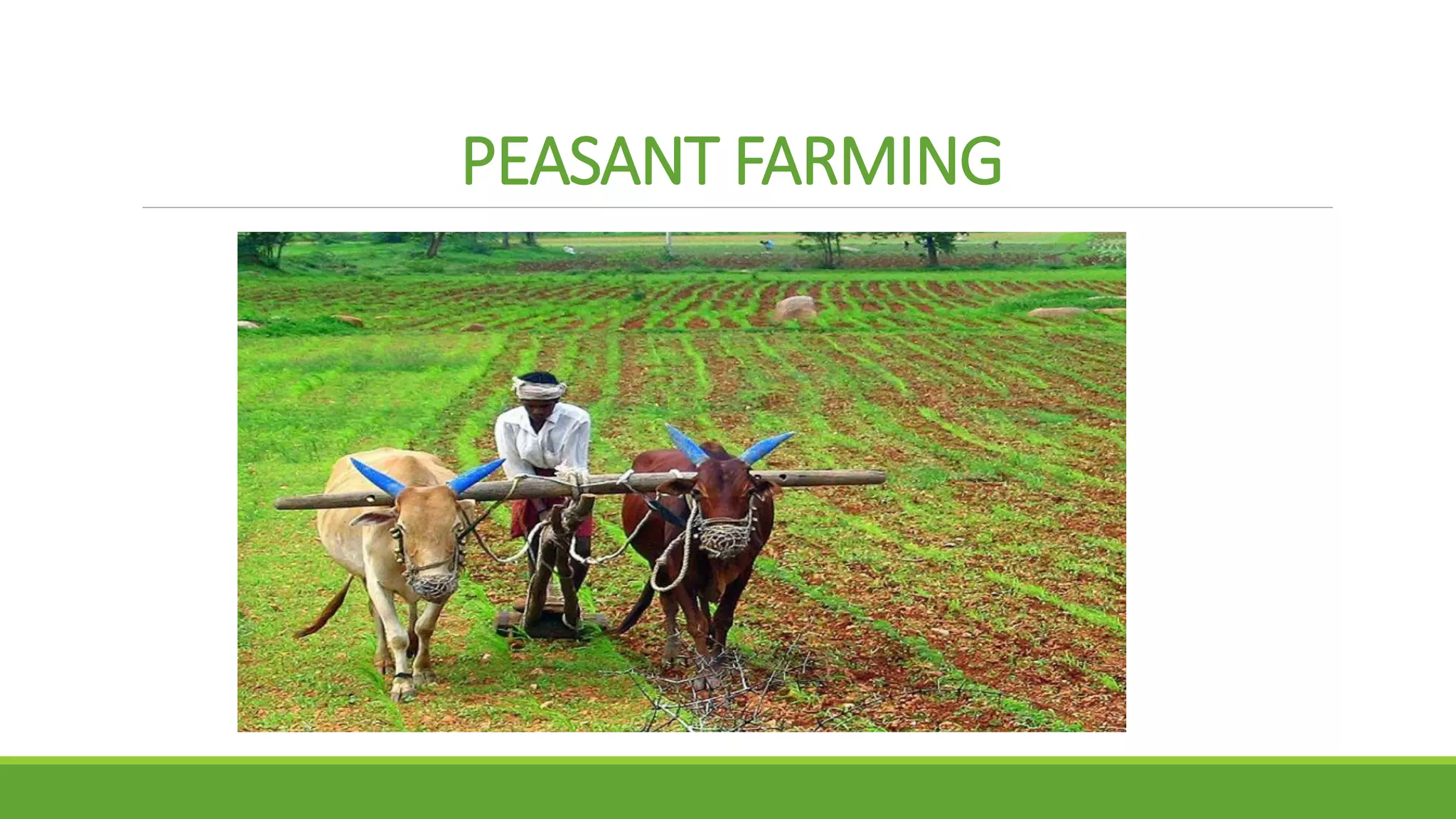 PEASANT FARMING, STATE FARMING, CAPITALISTIC FARMING.pptx