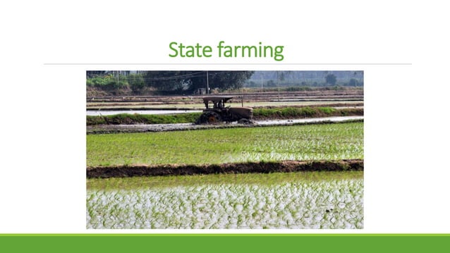 PEASANT FARMING, STATE FARMING, CAPITALISTIC FARMING.pptx | Agriculture ...