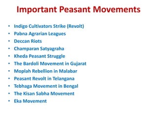 Peasant Movements.ppt