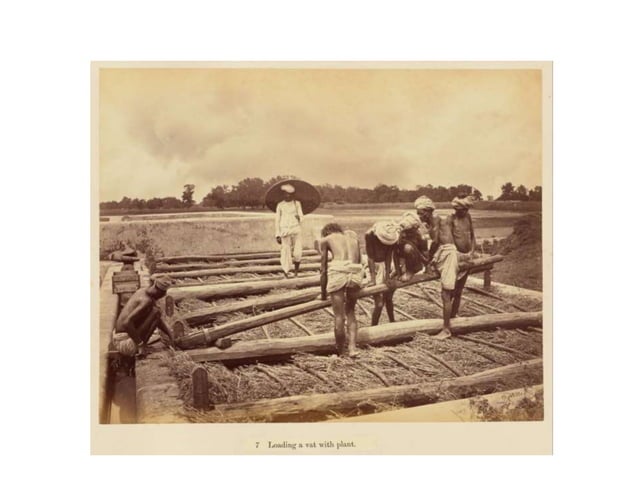 Peasant Movements.ppt | Land and Farms | Real Estate