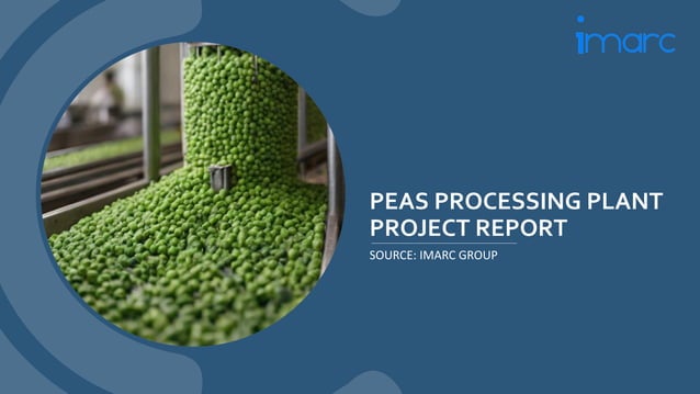 Peas Processing Plant Project Report.pdf | Agriculture | Industries