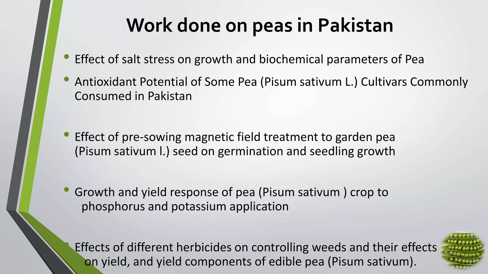 Peas (Botanical and Reproductive Biology) | PPTX
