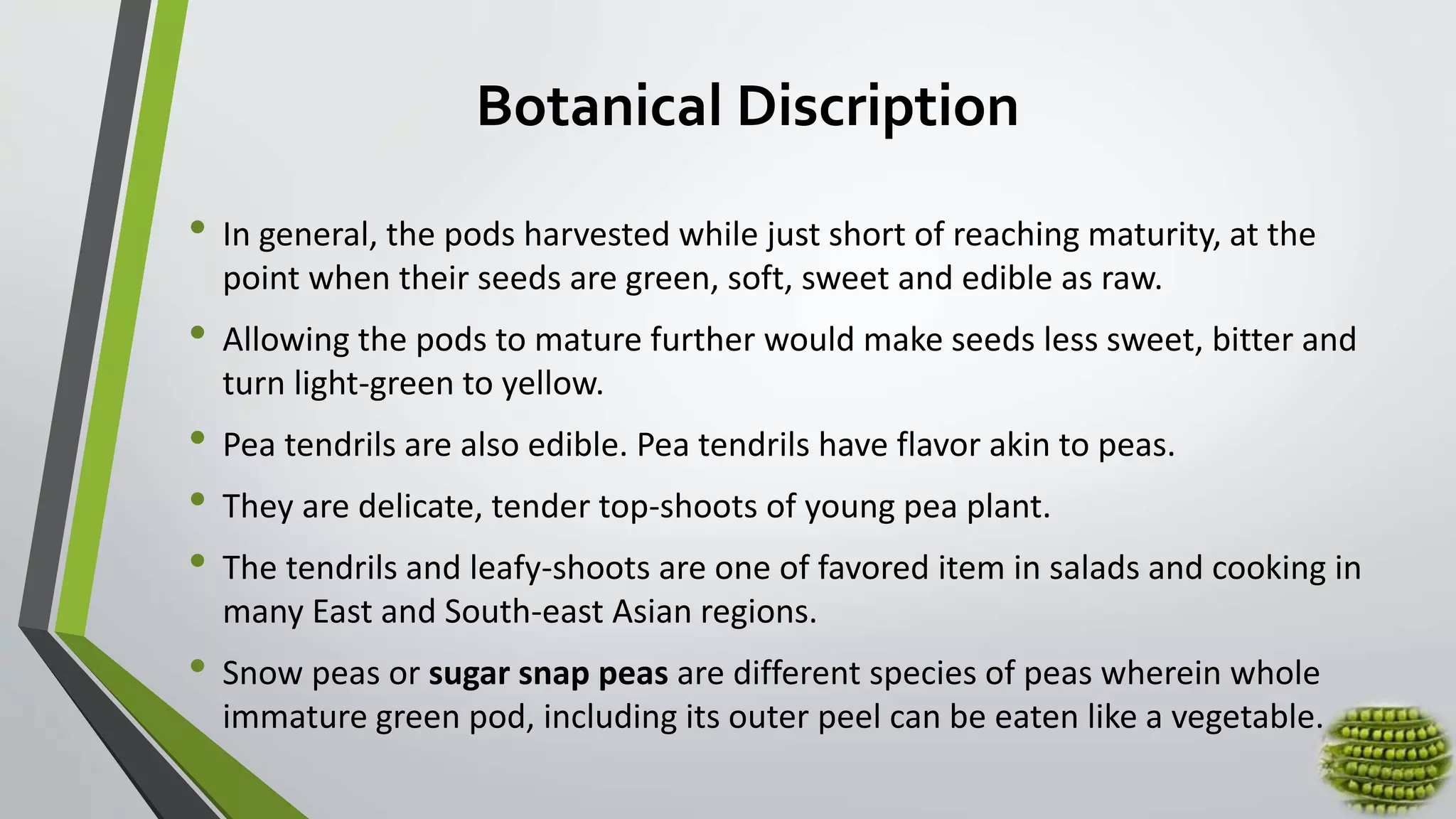Peas (Botanical and Reproductive Biology) | PPTX