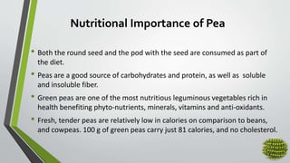 Peas (Botanical and Reproductive Biology) | PPTX