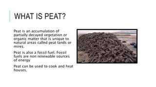 Peat | PPTX
