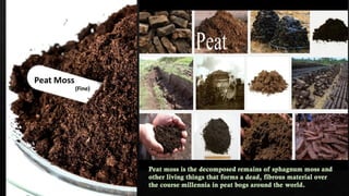 Peat : mining processing Utolization | PDF
