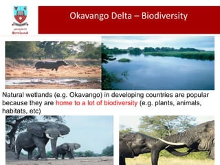 Governmental Initiatives for Peatland Conservation through ecotourism ...