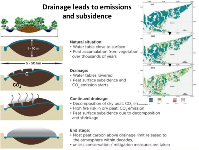 Peatlands and Redd+