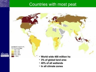 Peatlands, carbon and climate change | PPT