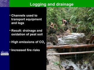 Peatlands, carbon and climate change | PPT