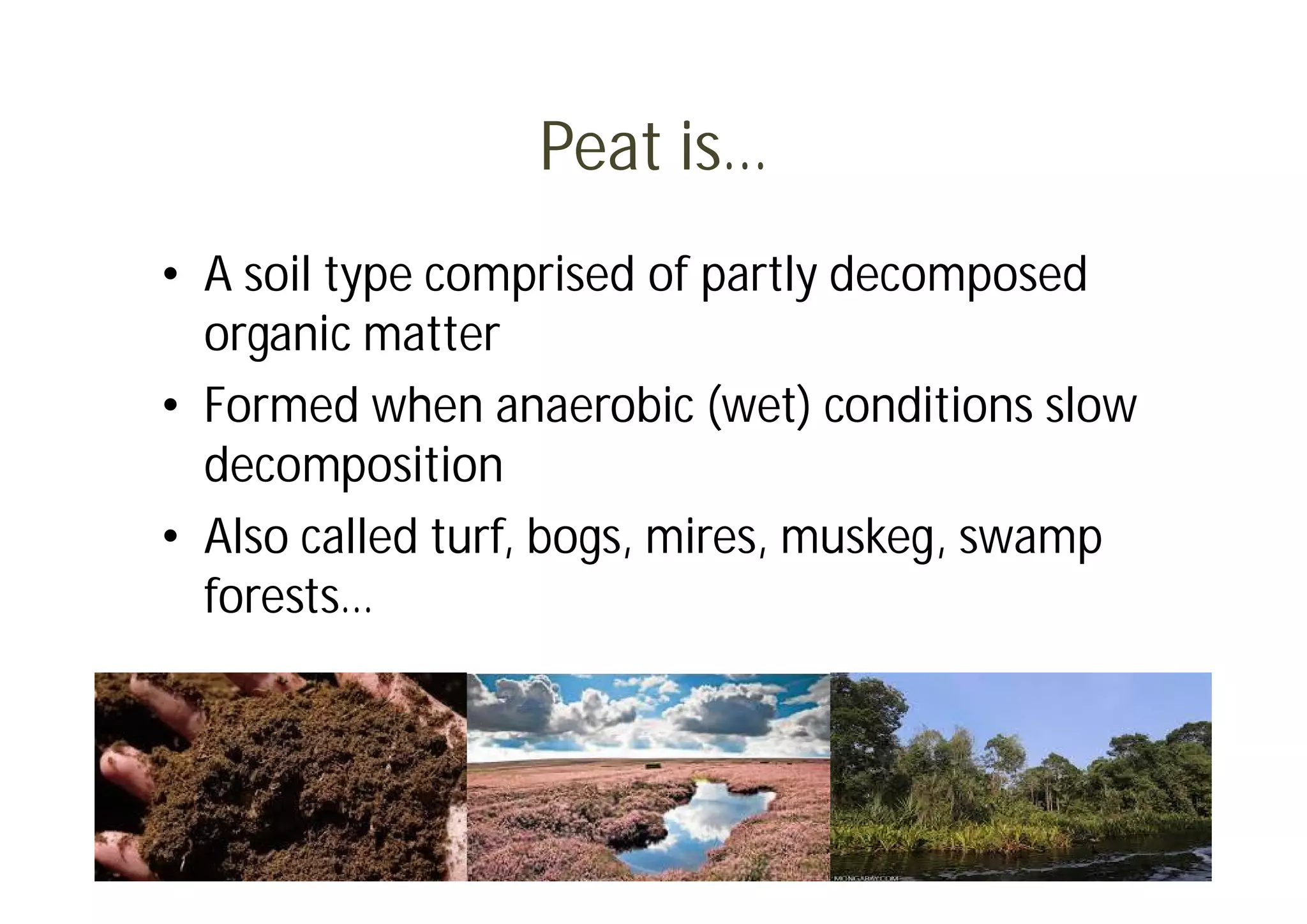 Partnering for peatland management | PDF | Science