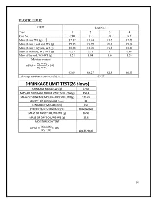 Peb802 capstone design project assesment 2 | DOCX