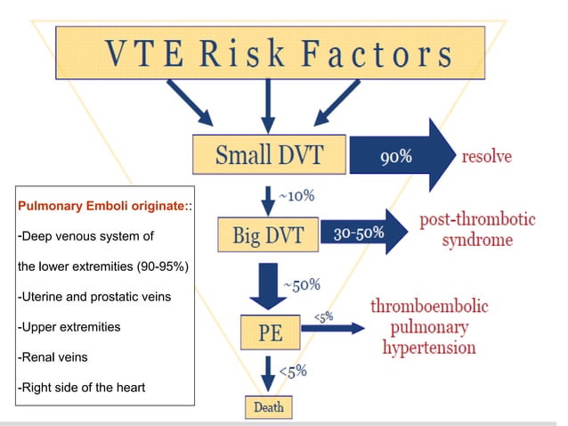 Pulmonary Embolism and CTEPH | PPT