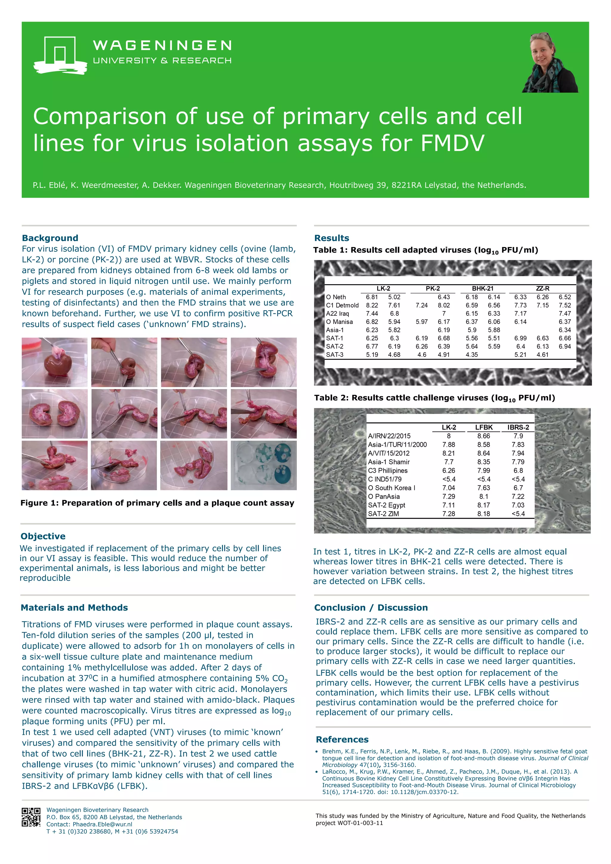 COMPARISON OF USE OF PRIMARY CELLS AND CELL LINES FOR VIRUS ISOLATION ...