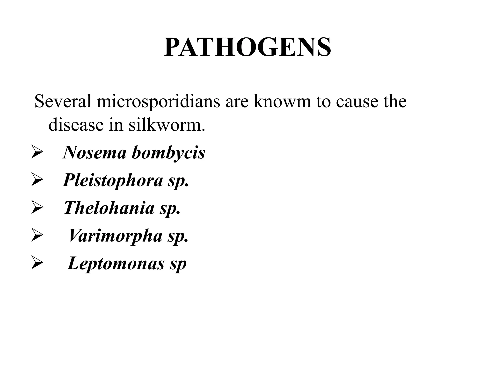 Pebrine disese | PPTX