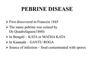 Pebrine disese | PPTX
