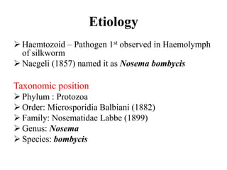 Pebrine disese | PPTX